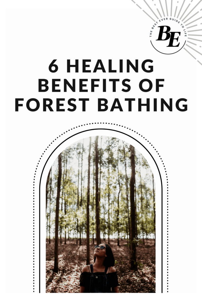 What Is Forest Bathing - BestEver.Guide