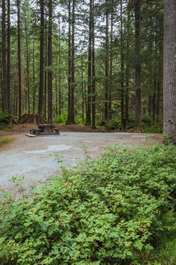 Best Ever Guide To Golden Ears Provincial Park - BestEver.Guide