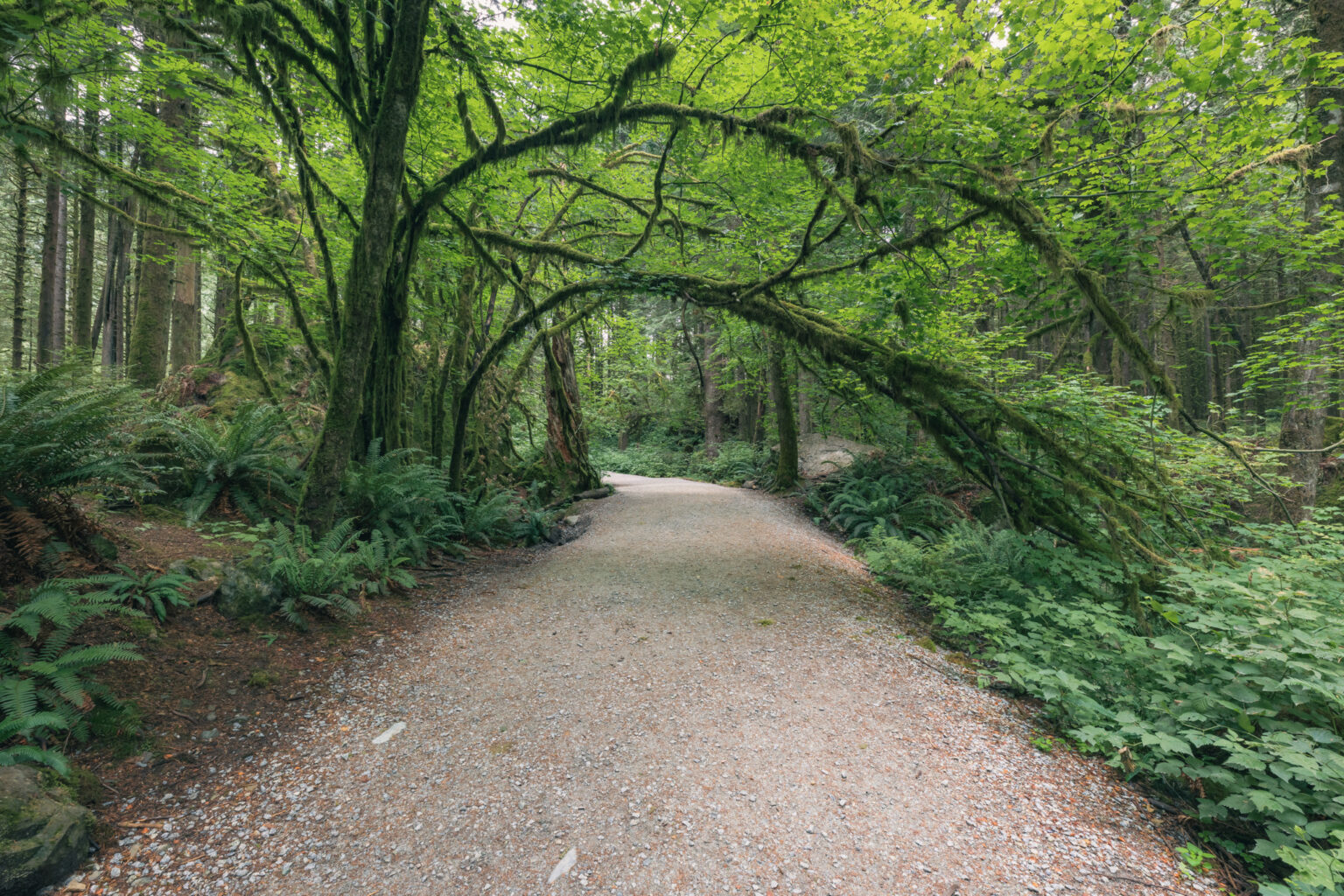 Best Ever Guide To Golden Ears Provincial Park - BestEver.Guide
