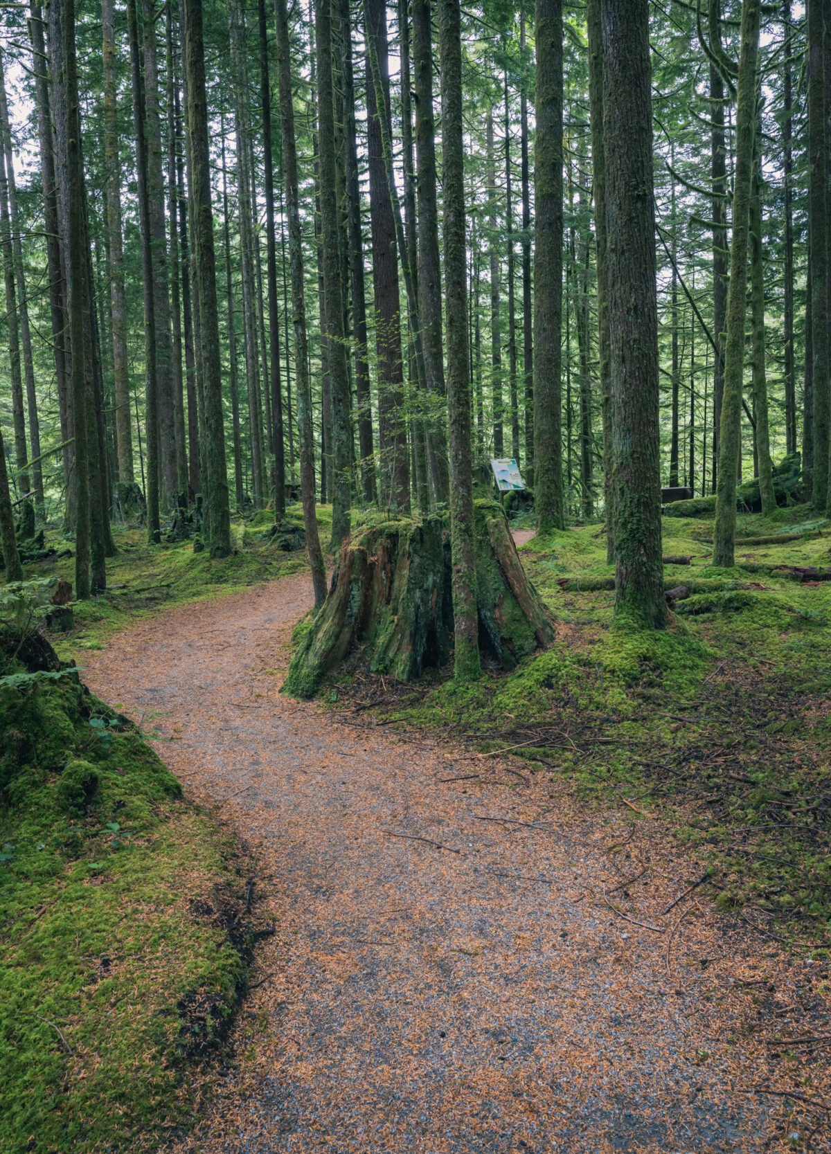 Best Ever Guide To Golden Ears Provincial Park - BestEver.Guide
