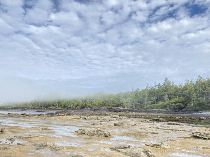 Magnificent Tidal Pools Botanical Beach - BestEver.Guide