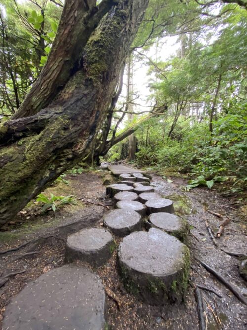 Magnificent Tidal Pools Botanical Beach - BestEver.Guide