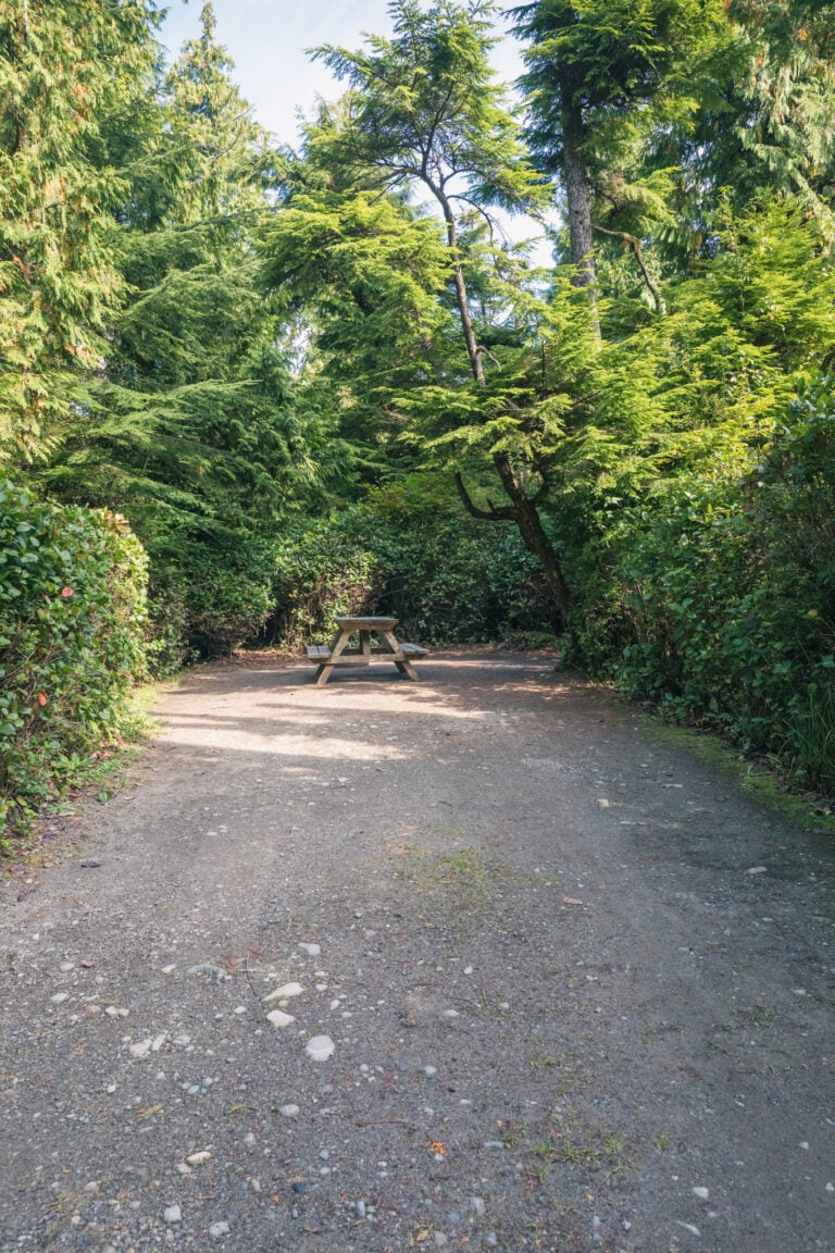 Bella Pacifica Campground: Best Beachfront Tofino Camping Spot ...