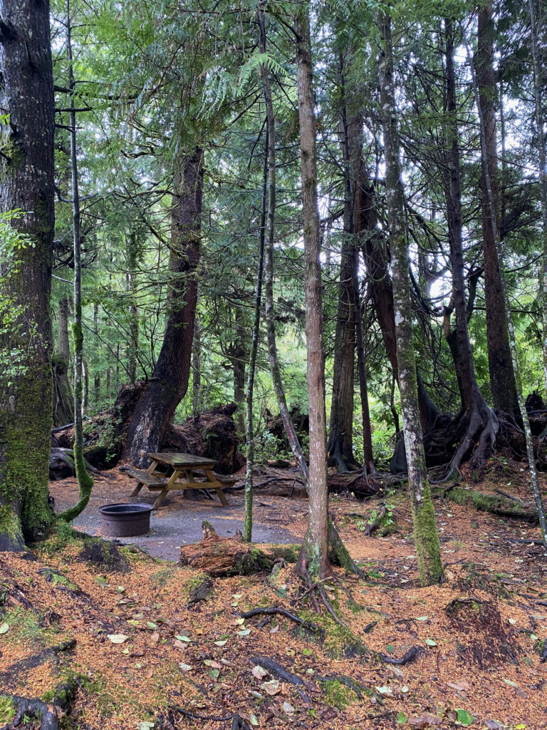 Bella Pacifica Campground: Best Beachfront Tofino Camping Spot ...