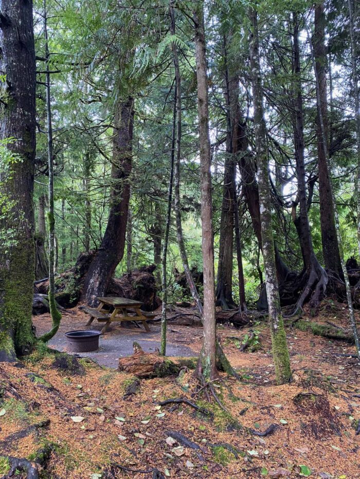 Bella Pacifica Campground: Best Beachfront Tofino Camping Spot ...