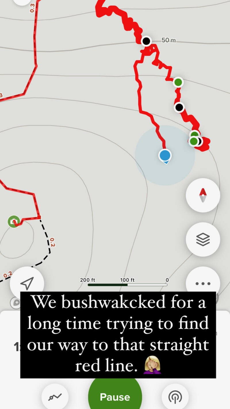 Cox Bay Lookout: The Best Ever View In Tofino - BestEver.Guide