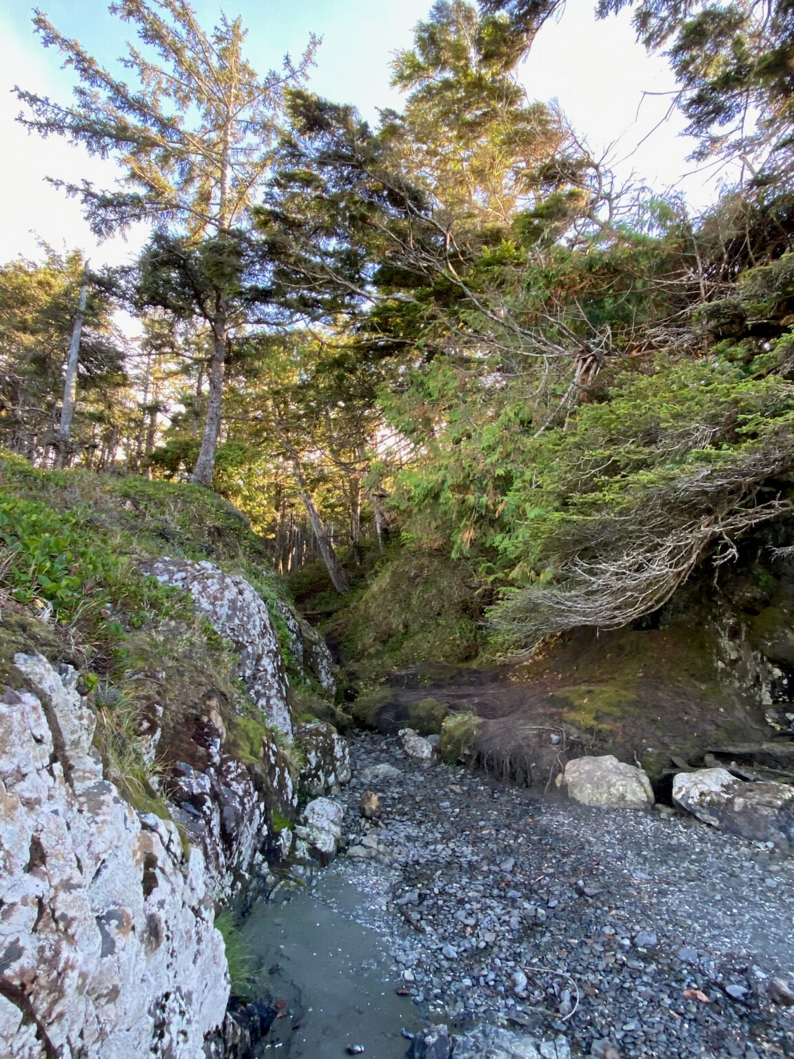 Cox Bay Lookout: The Best Ever View In Tofino - BestEver.Guide