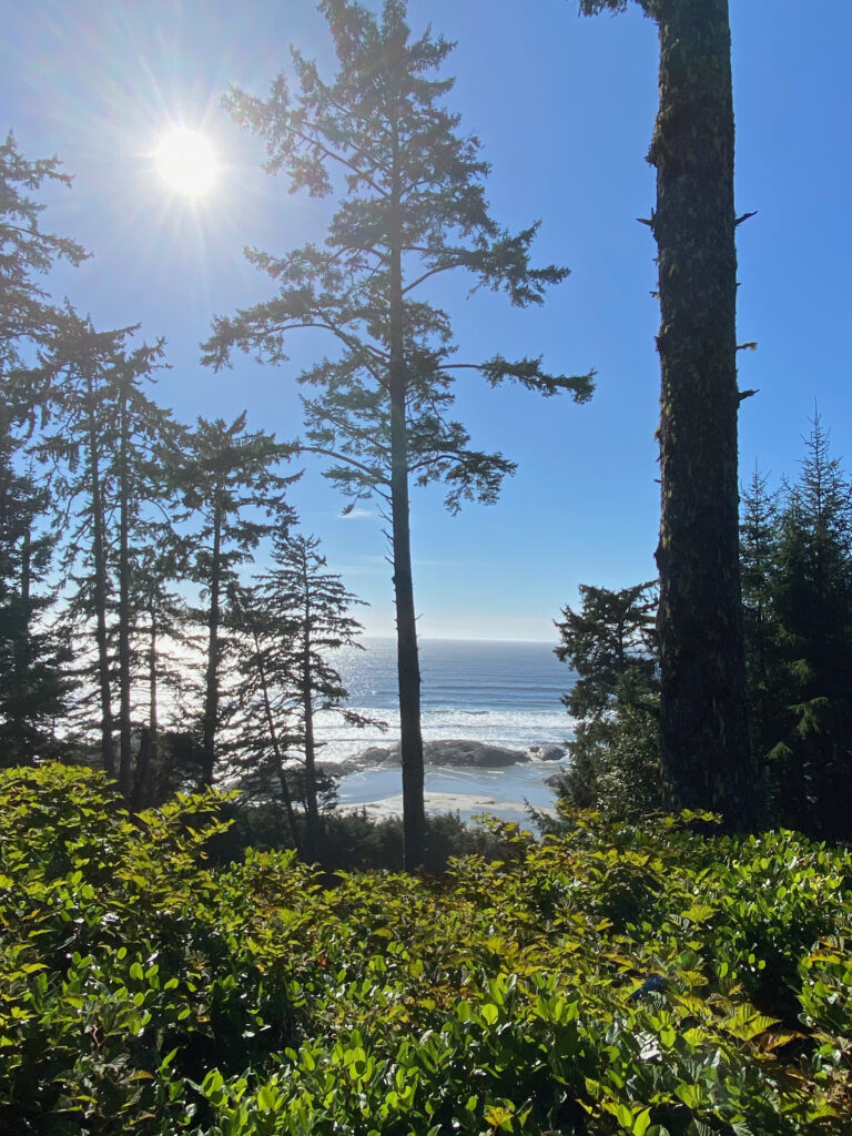 Green Point Campground - Pacific Rim National Park Reserve On Long ...