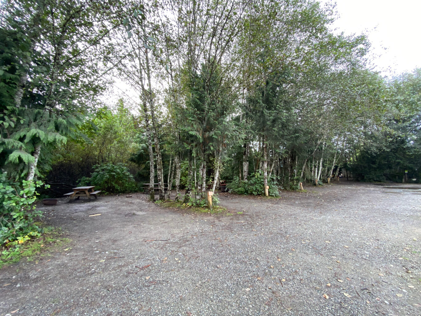 Best Vintage Camping At Mackenzie Beach Resort In Tofino - BestEver.Guide