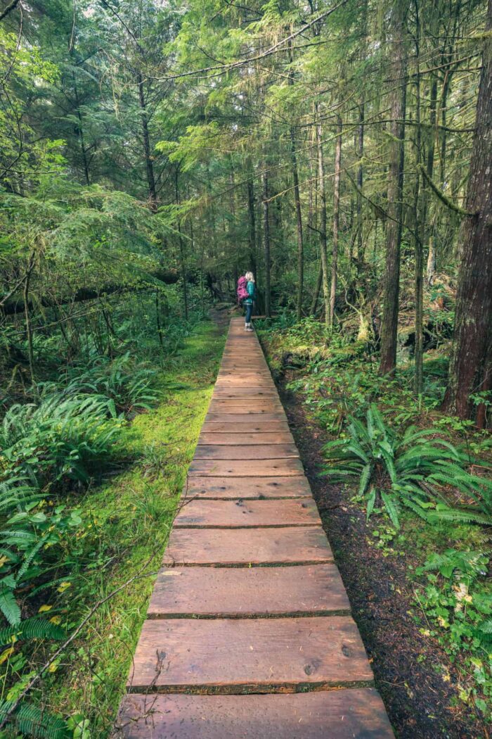 Visit This Magical Rainforest Trail In Tofino - BestEver.Guide