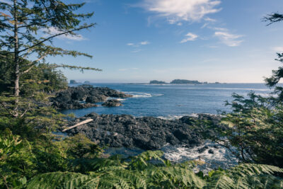 See Stunning Ocean Views On The Wild Pacific Trail - BestEver.Guide
