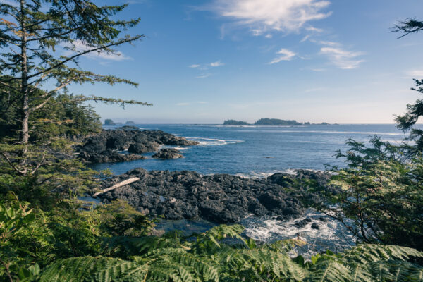 See Stunning Ocean Views On The Wild Pacific Trail - BestEver.Guide