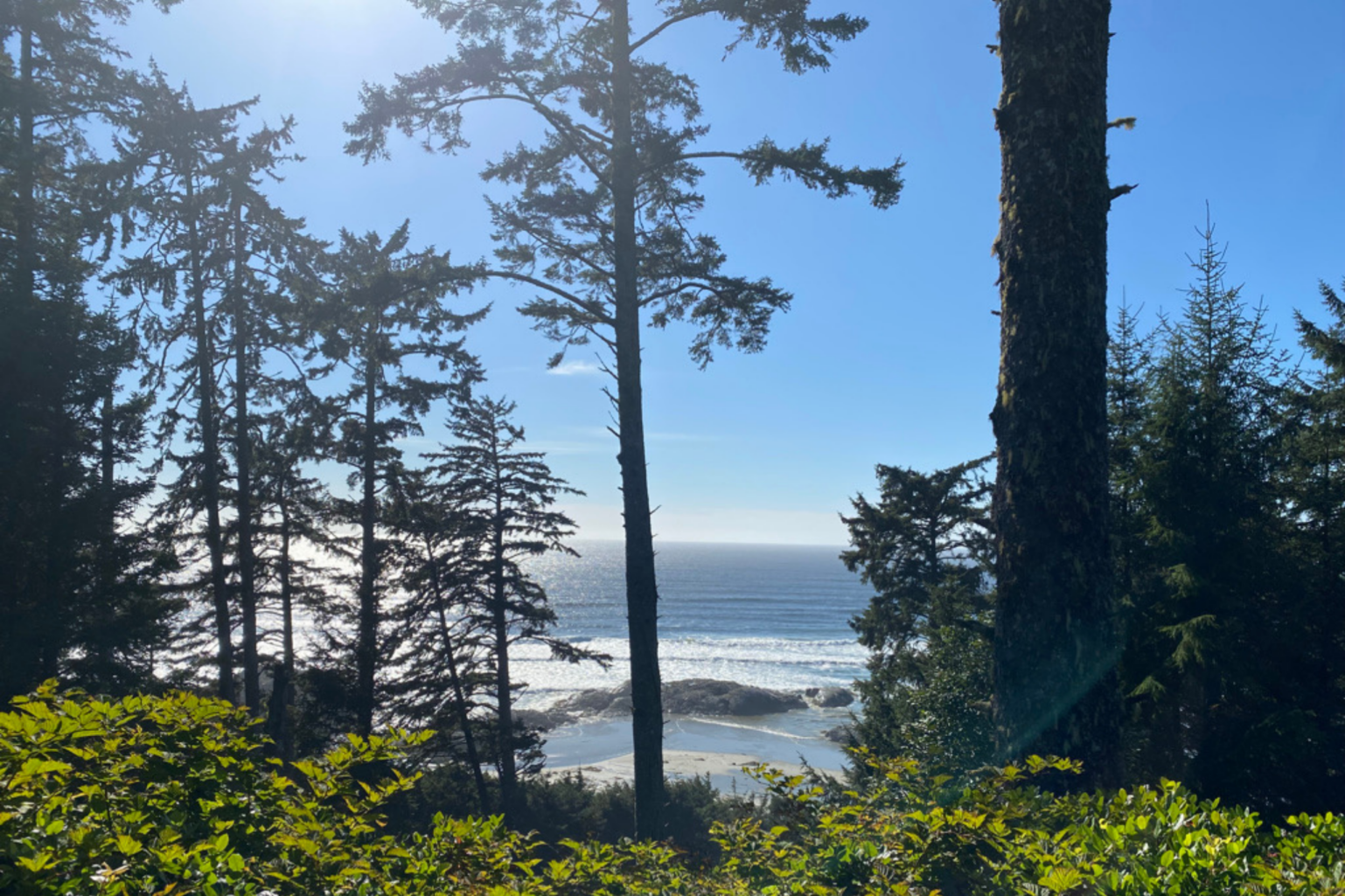 Green Point Campground - Pacific Rim National Park Reserve On Long ...