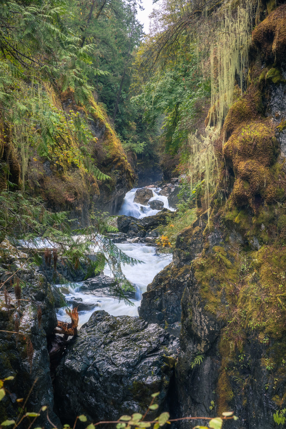 Englishman River Falls: Stunning Camping, Hiking And Waterfalls ...