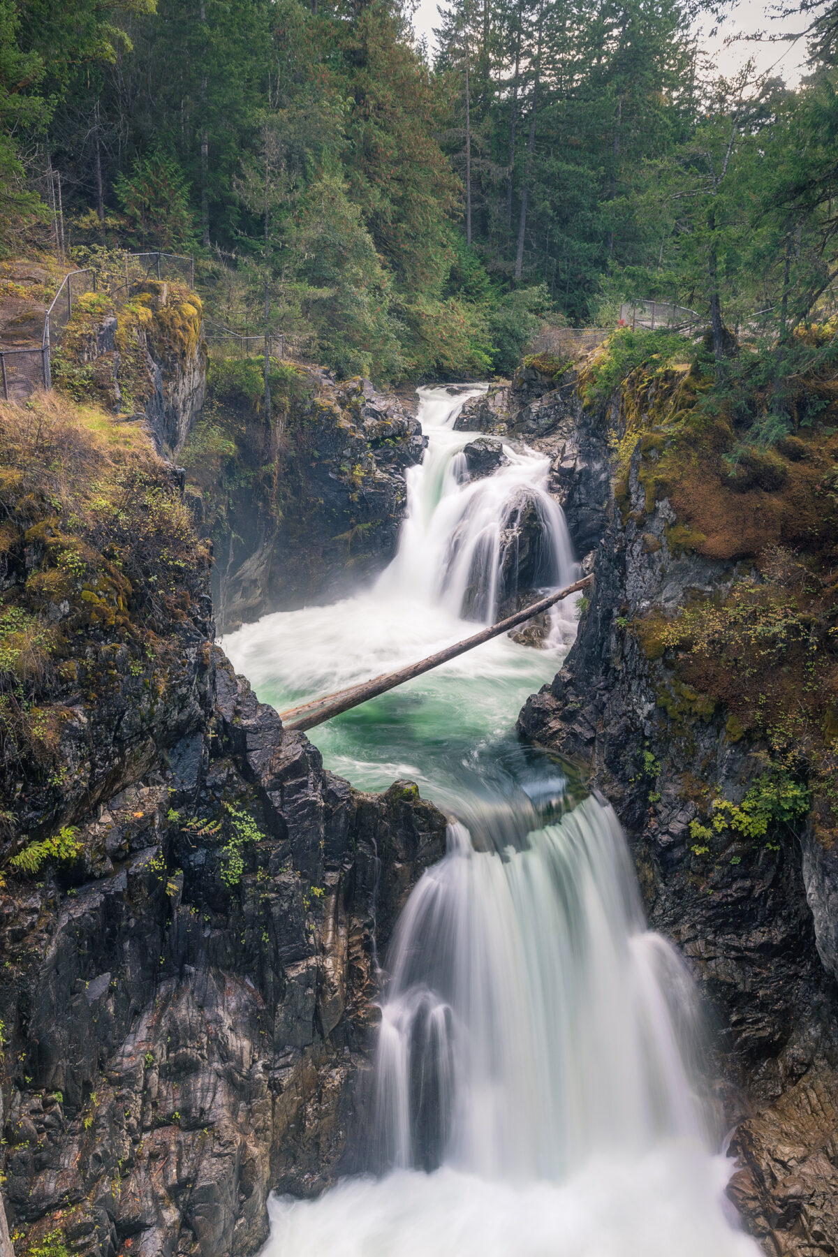 Little Qualicum Falls: Stunning Camping And Hiking - BestEver.Guide