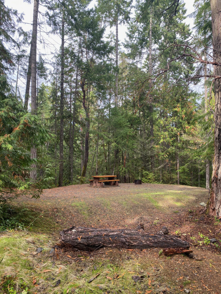 Little Qualicum Falls: Stunning Camping And Hiking - BestEver.Guide