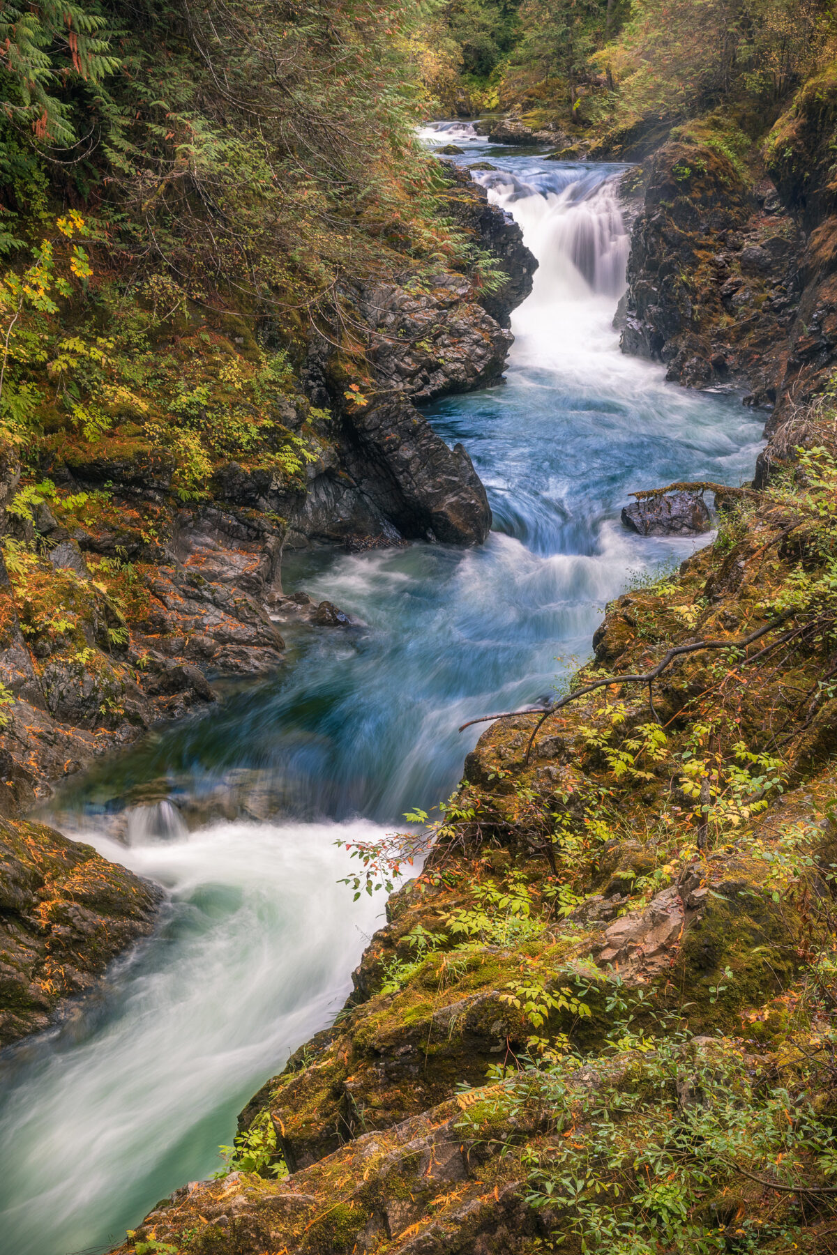 Little Qualicum Falls: Stunning Camping And Hiking - BestEver.Guide