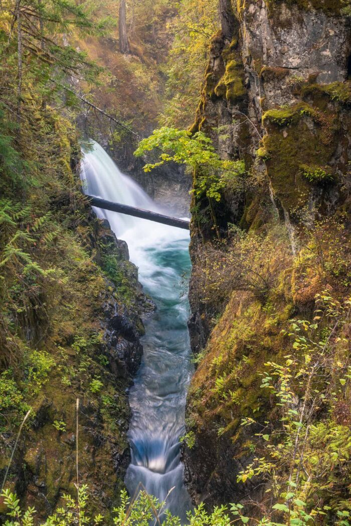 Little Qualicum Falls: Stunning Camping And Hiking - BestEver.Guide