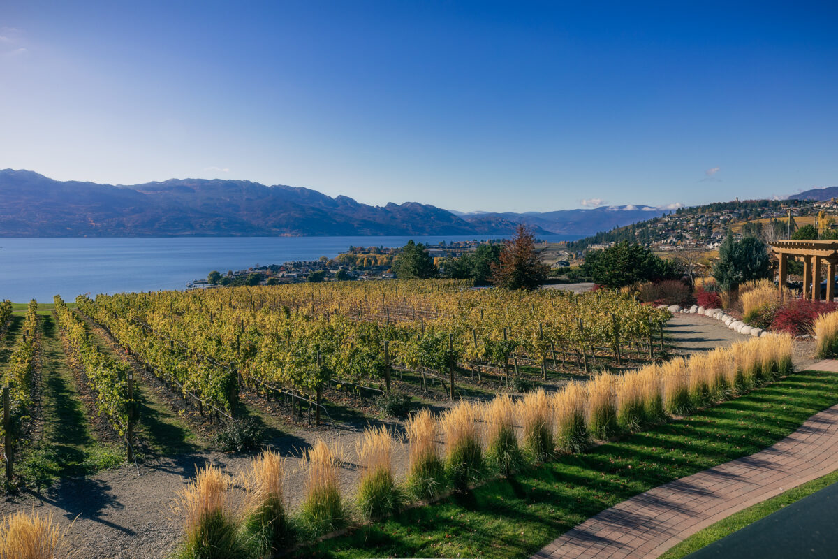 Quails' Gate Winery: Wine Tasting Guide - BestEver.Guide