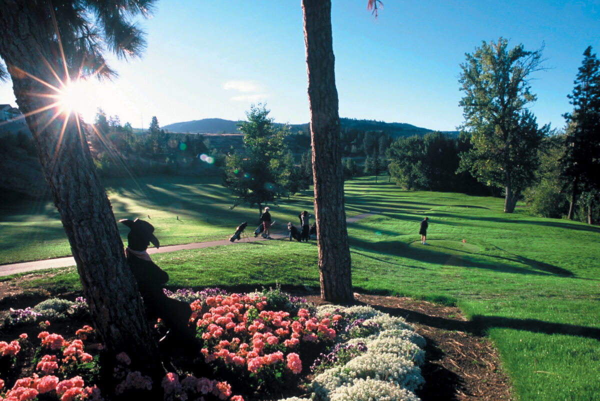 Best Golf Courses In Kelowna - BestEver.Guide