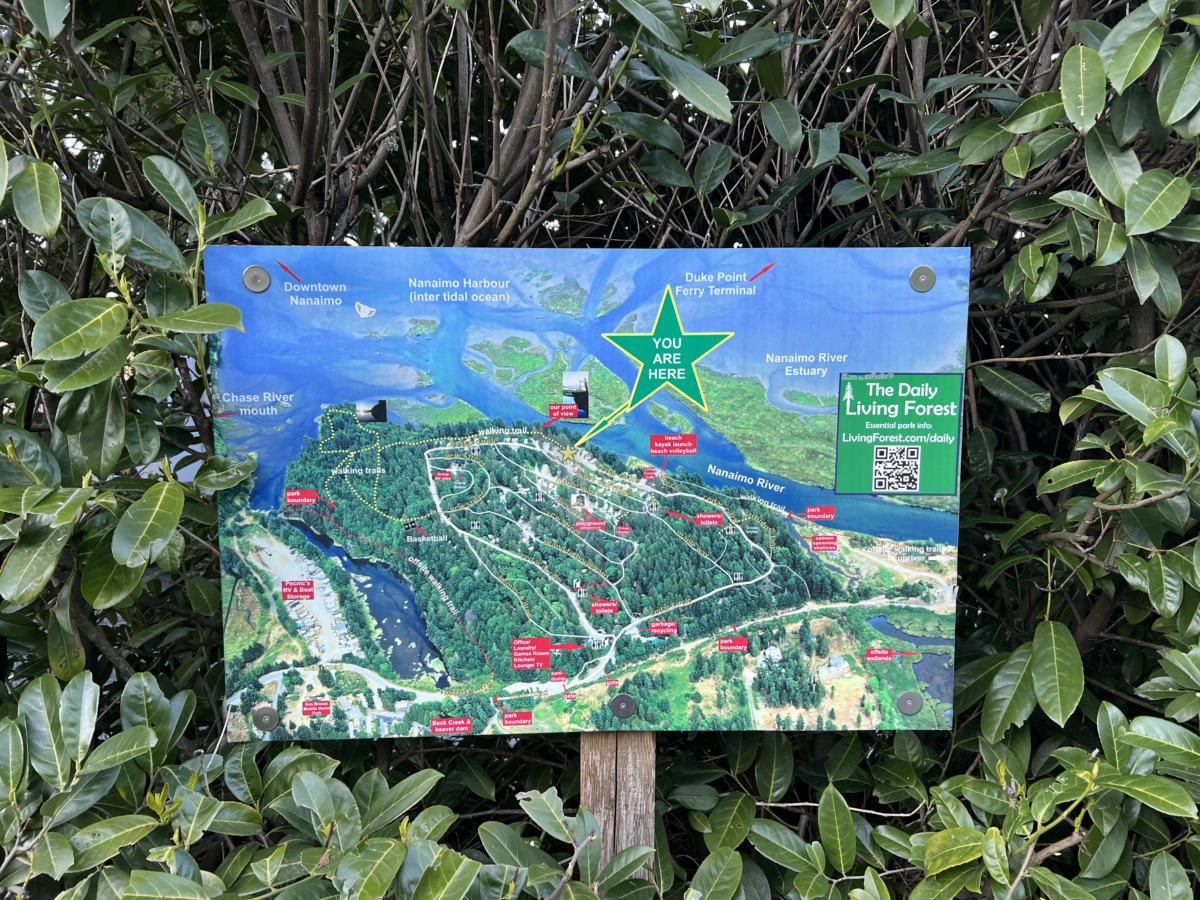 Living Forest Campground: Best Nanaimo Camping Experience - BestEver.Guide