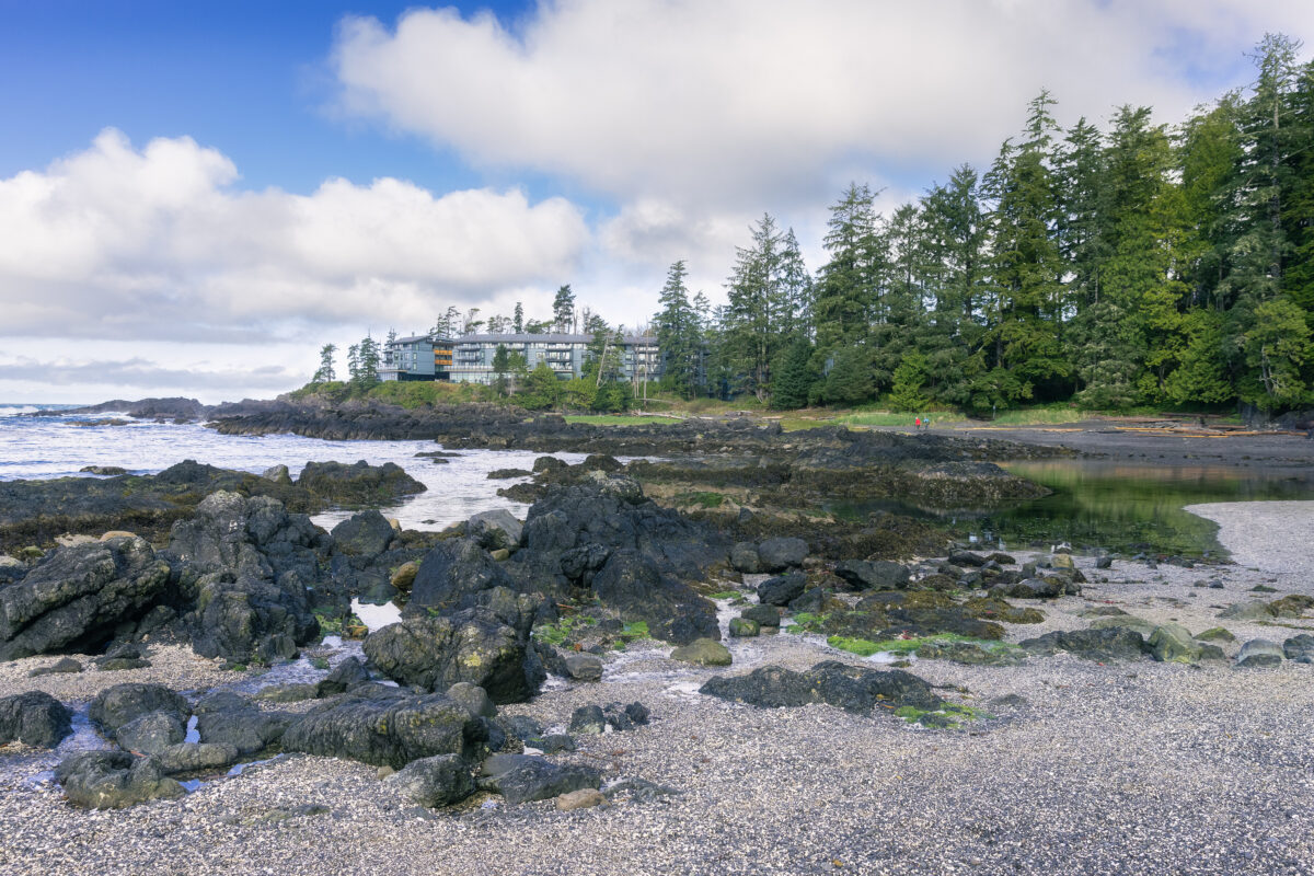 Best Things To Do In Ucluelet - BestEver.Guide