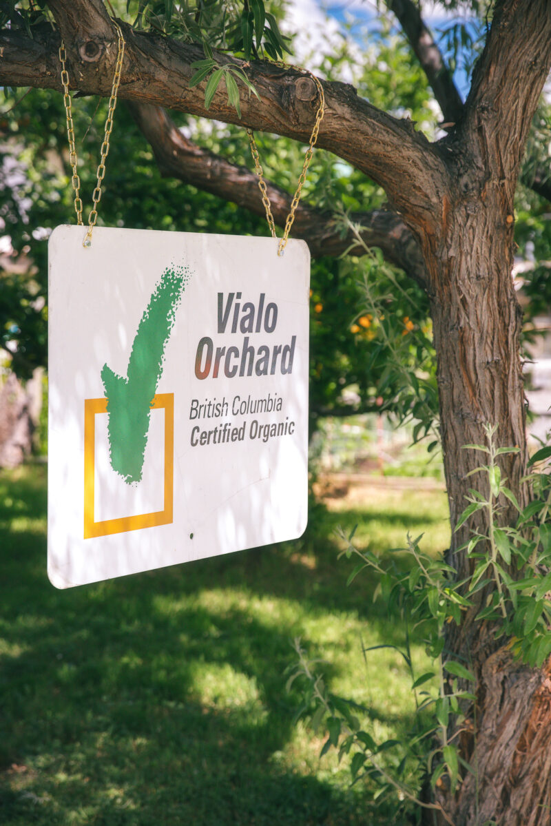 Fascinating Farm Stay At The Cob House In Cawston, BC - BestEver.Guide