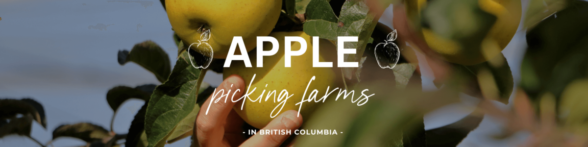 Best Ever Guide To Apple Picking In BC - BestEver.Guide