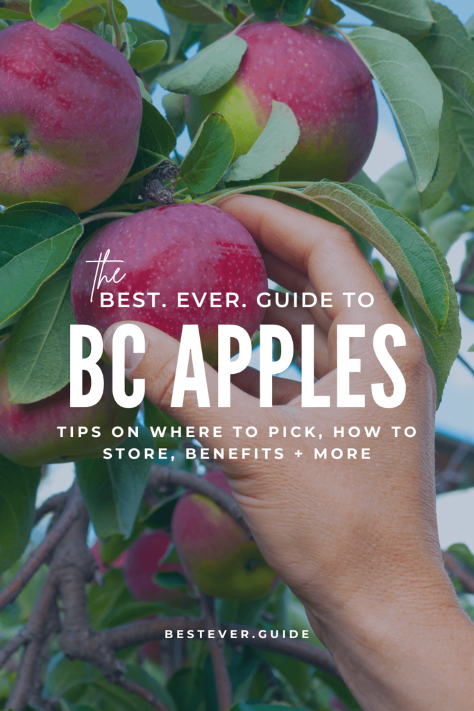 Best Ever Guide To Apple Picking In BC - BestEver.Guide