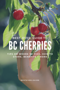 Best Ever Guide To Cherry Picking In BC - BestEver.Guide