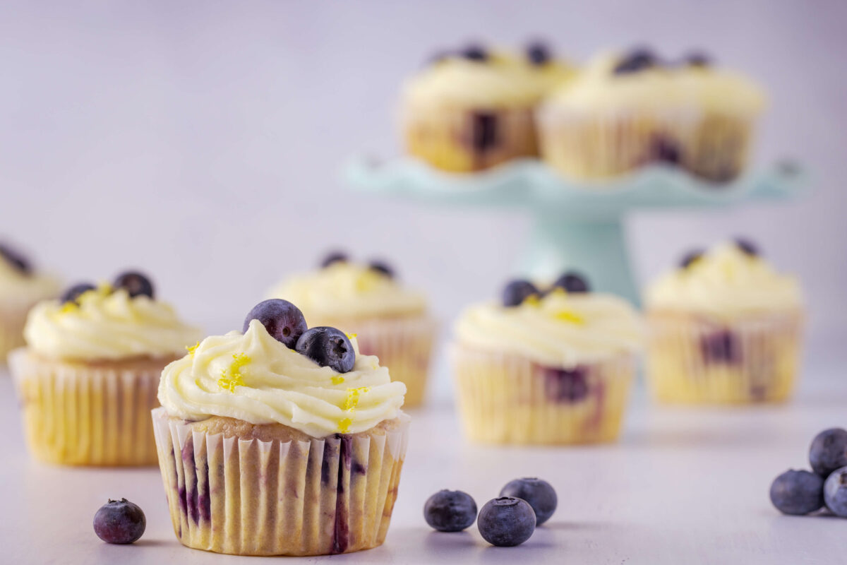Best Ever Guide To Blueberry Picking In BC - BestEver.Guide