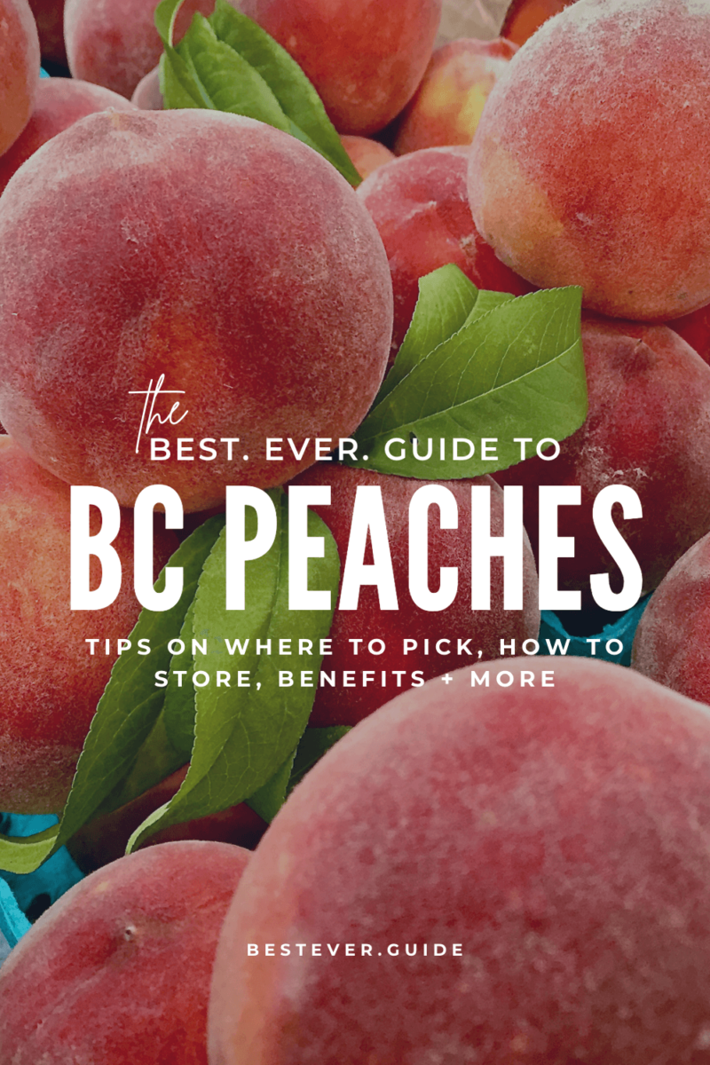 Best Ever Guide To Peach Picking In BC - BestEver.Guide