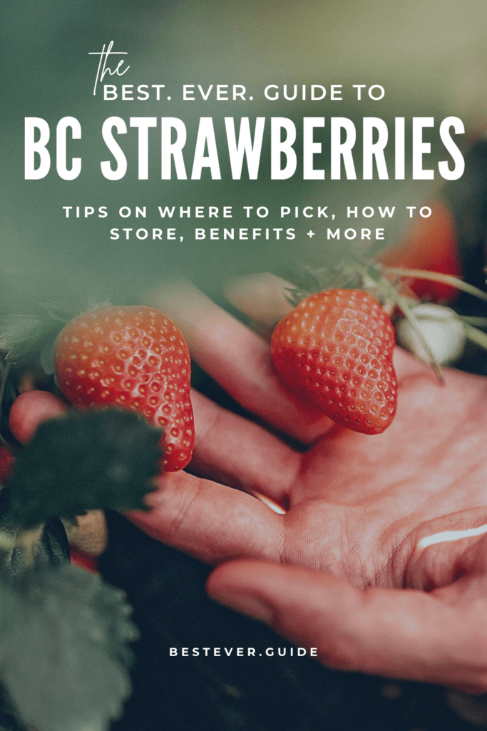 Best Ever Guide To Strawberry Picking In BC - BestEver.Guide