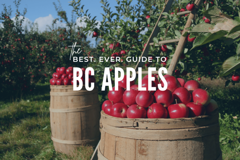 Best Ever Guide To Apple Picking In BC - BestEver.Guide