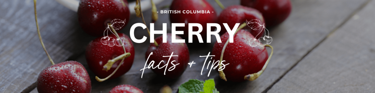 Best Ever Guide To Cherry Picking In BC - BestEver.Guide