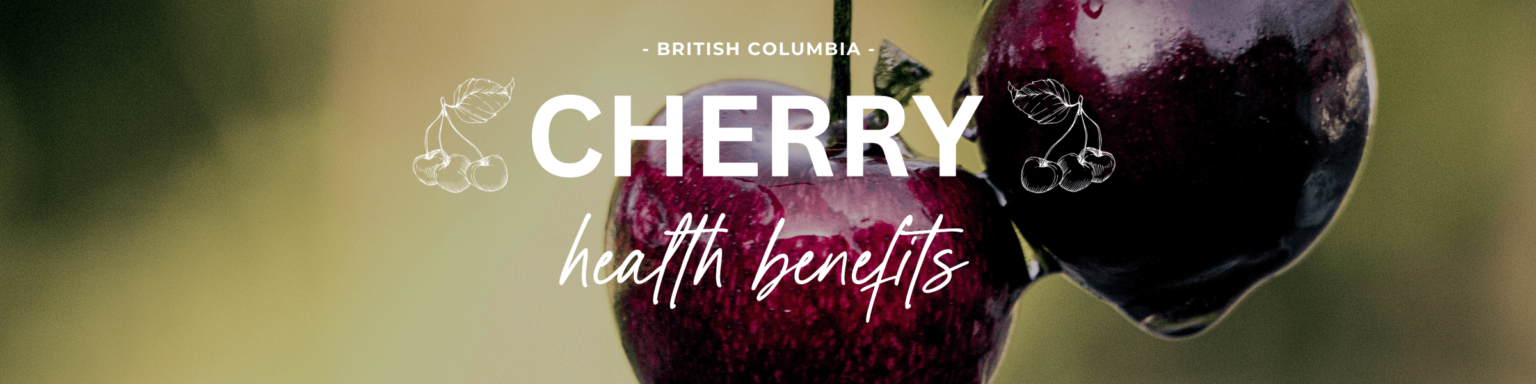 Best Ever Guide To Cherry Picking In BC - BestEver.Guide