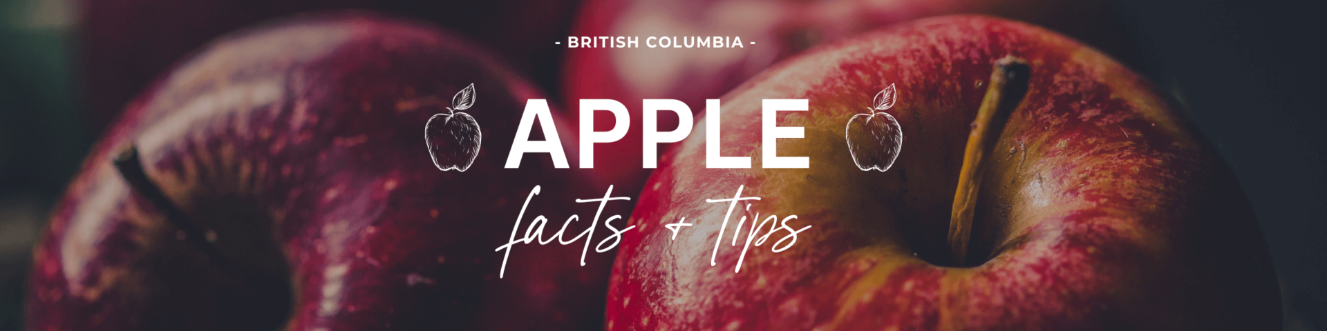 Best Ever Guide To Apple Picking In BC - BestEver.Guide