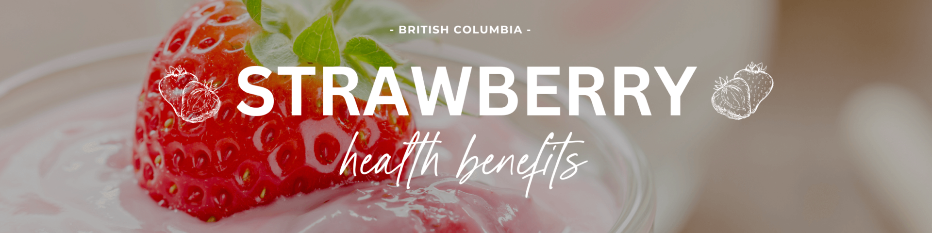 Best Ever Guide To Strawberry Picking In BC - BestEver.Guide