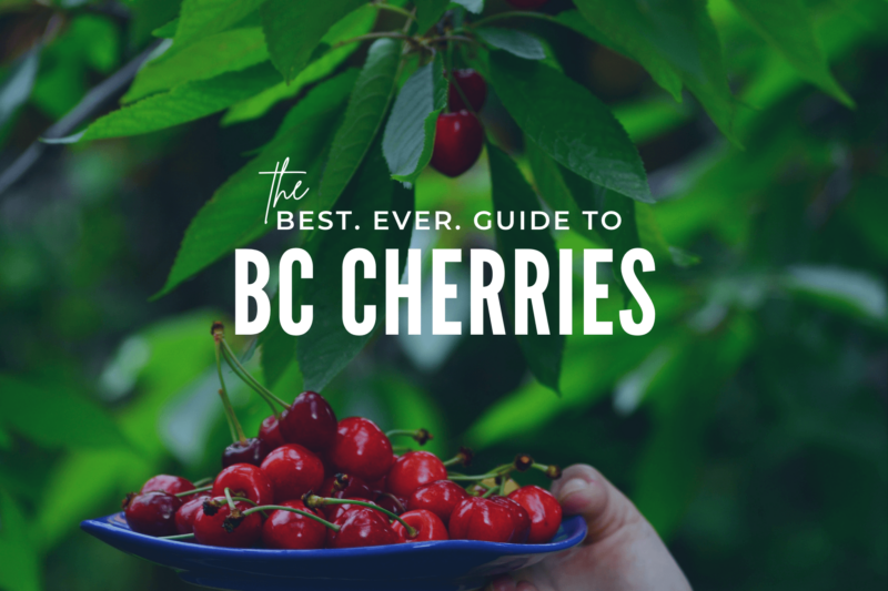 Best Ever Guide To Strawberry Picking In BC - BestEver.Guide