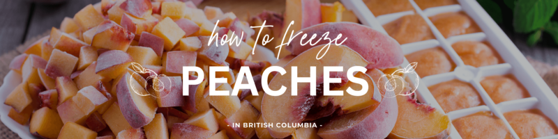 Best Ever Guide To Peach Picking In BC - BestEver.Guide