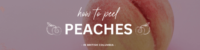 Best Ever Guide To Peach Picking In BC - BestEver.Guide