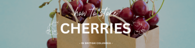 Best Ever Guide To Cherry Picking In BC - BestEver.Guide