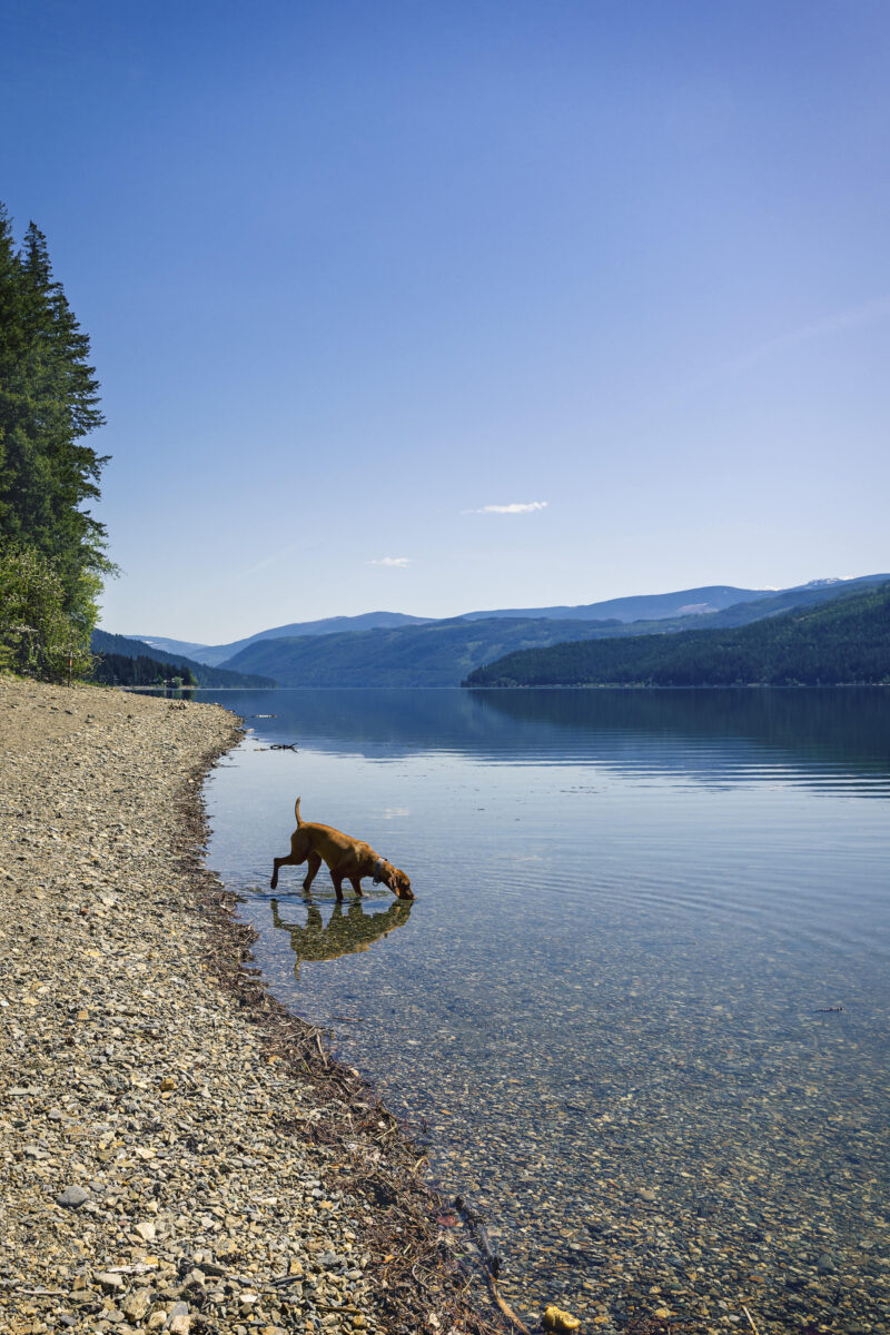 Best Ever Shuswap Camping Spots - BestEver.Guide
