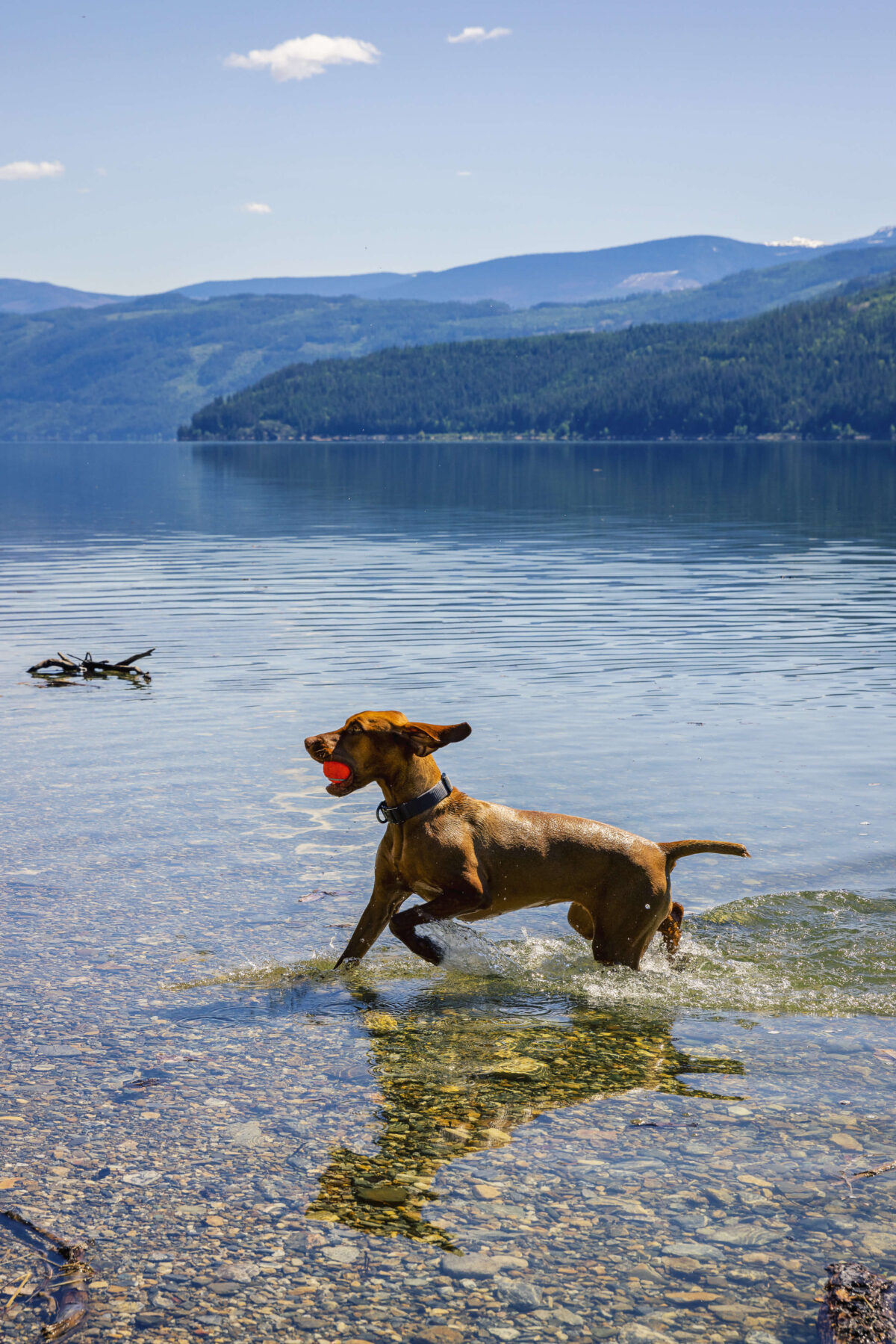 Best Ever Shuswap Camping Spots - BestEver.Guide