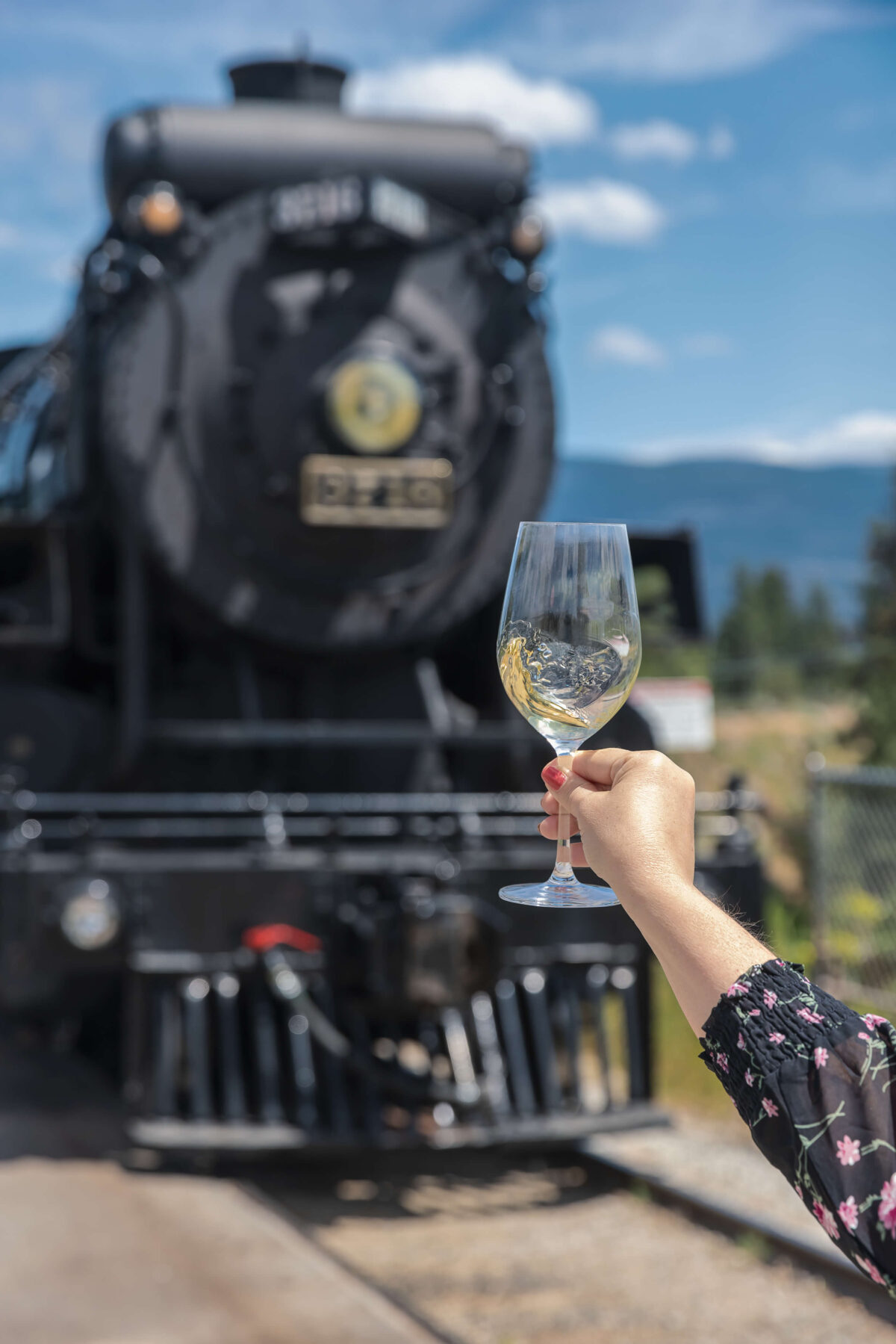 Ride, Wine And Dine On This Summerland Train - BestEver.Guide