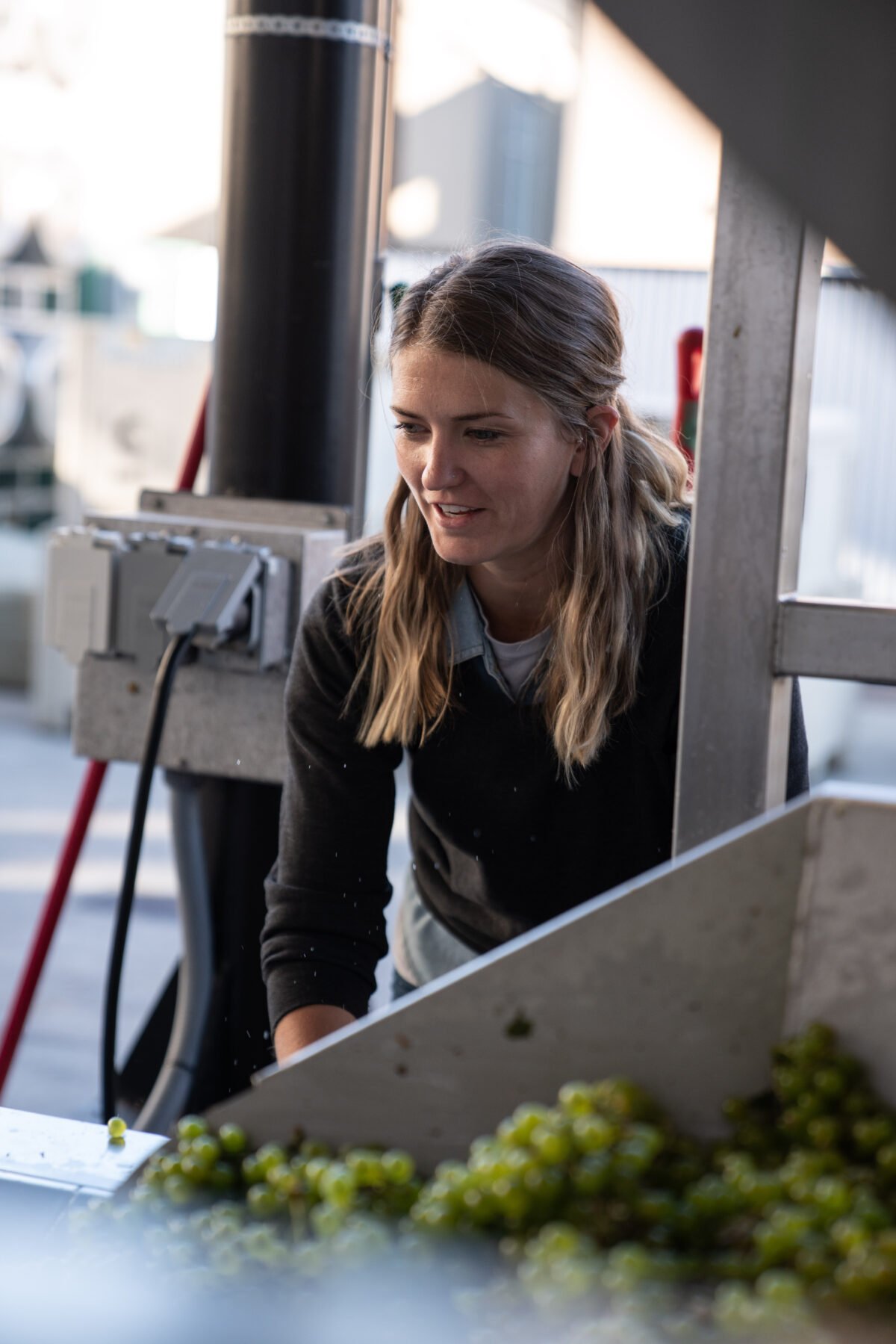 Time Winery: Chronos Tasting Room And OROLO Restaurant - BestEver.Guide