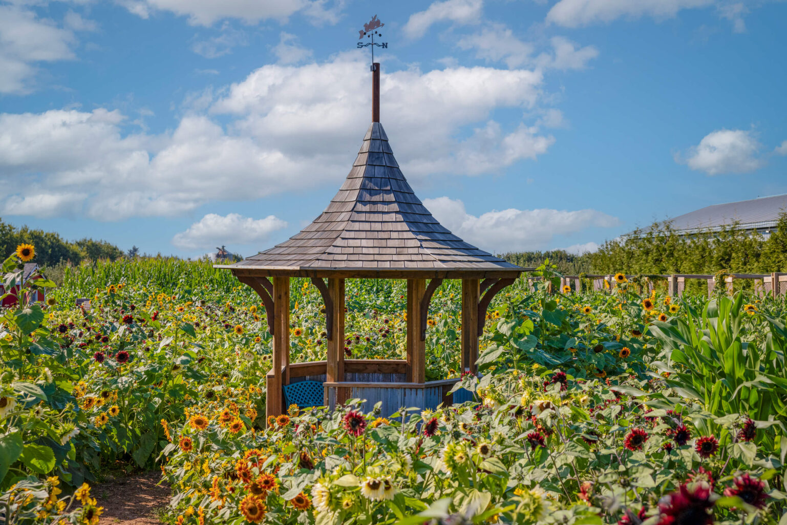 Things To Do In Abbotsford: A Fall Getaway Guide - BestEver.Guide